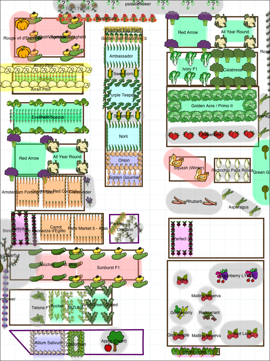 Garden Plan - allotment