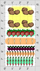 Garden Plan - 2015: Root Garden