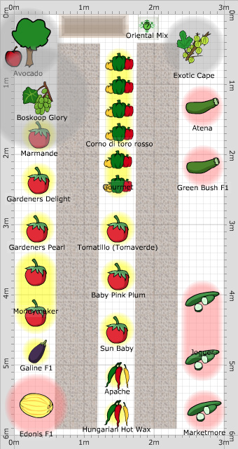 Garden Plan - 2015: POLYTUNNEL