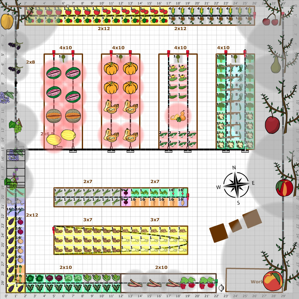 Garden Plan - 2015: Home Veggie Garden