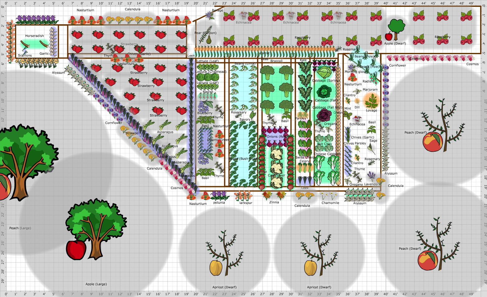 Garden Plan - 2015: backgarden