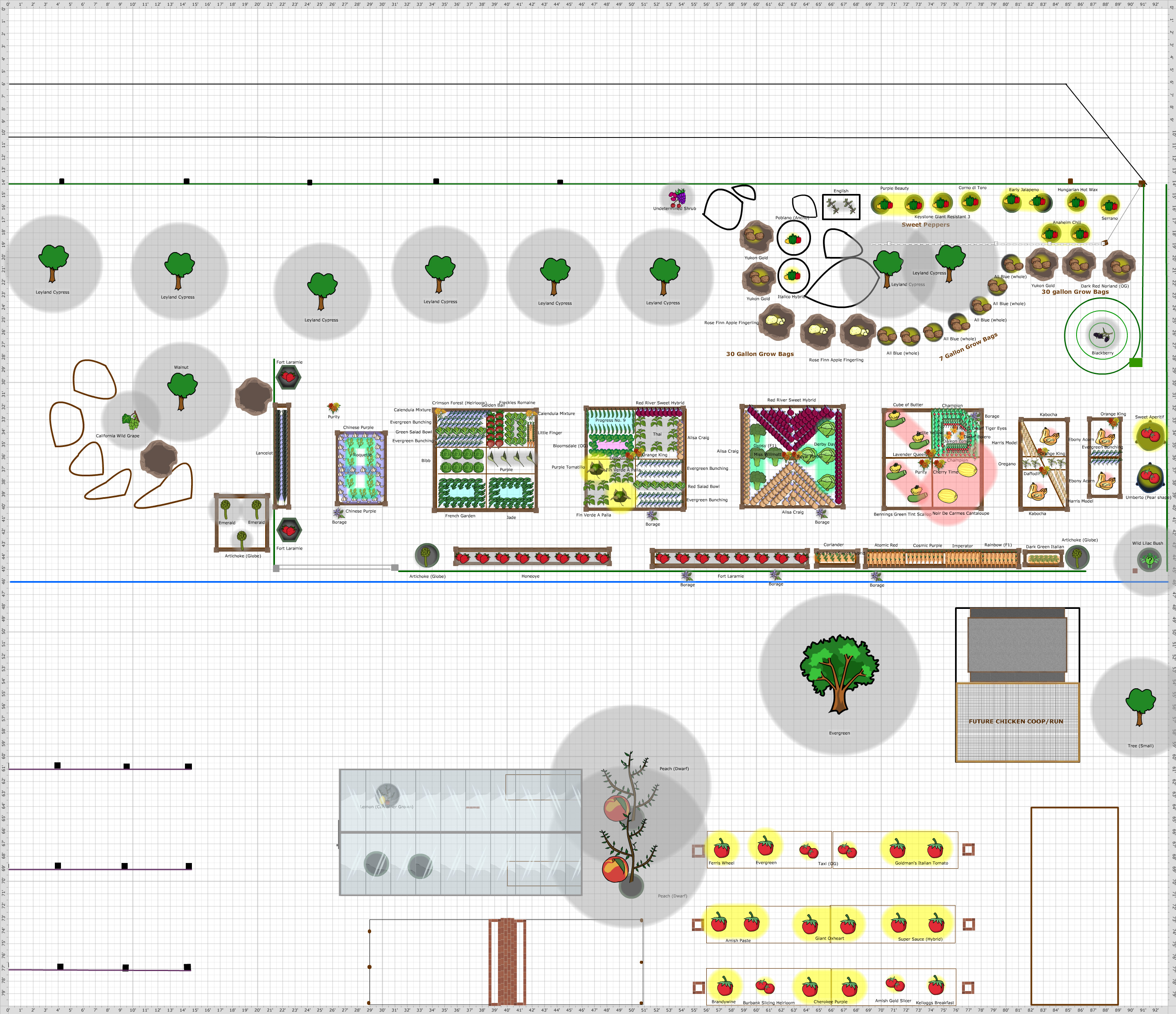 Garden Plan - 2015: Robin's Garden