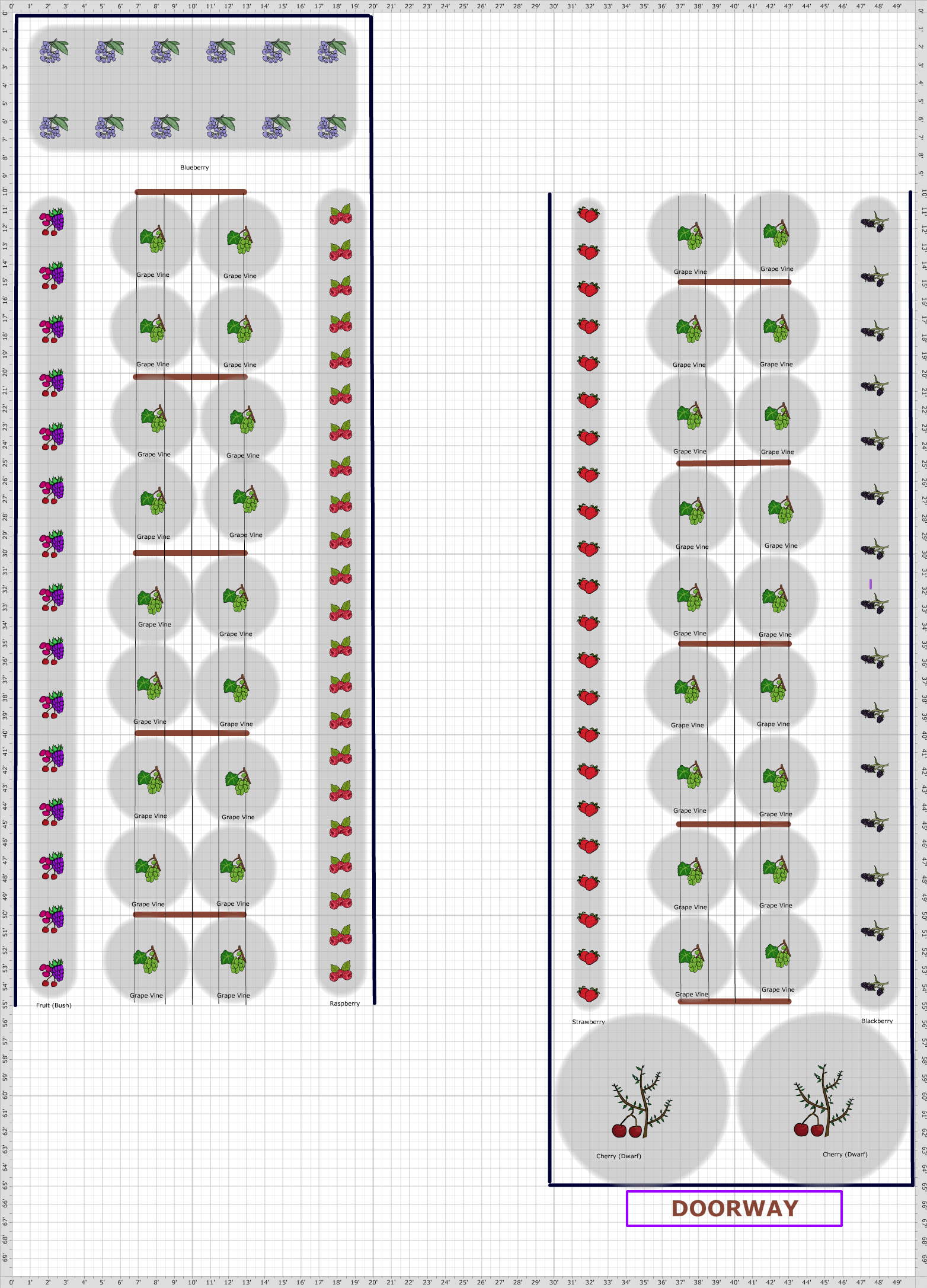 Garden Plan - 2015: Grapes and Berries