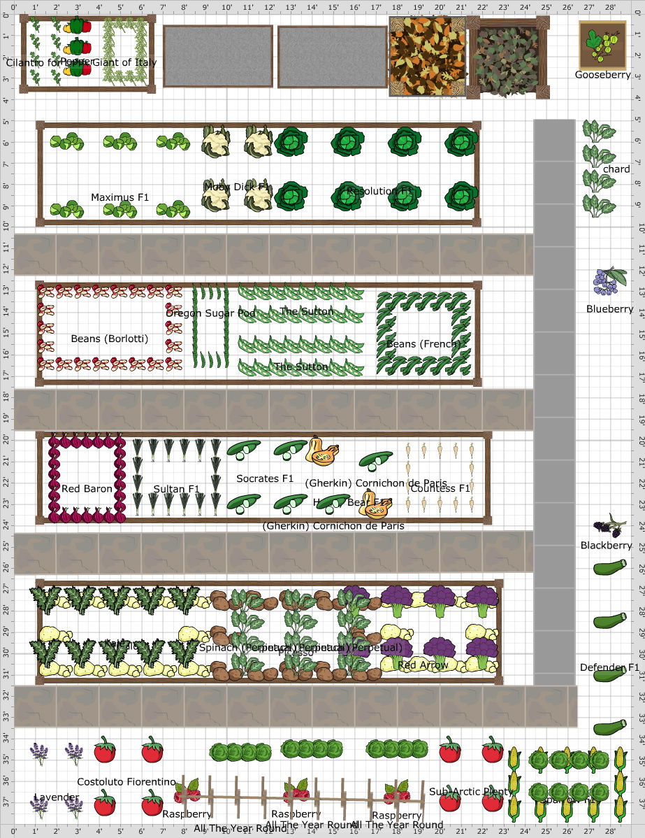 Garden Plan - 2015: allotment2b