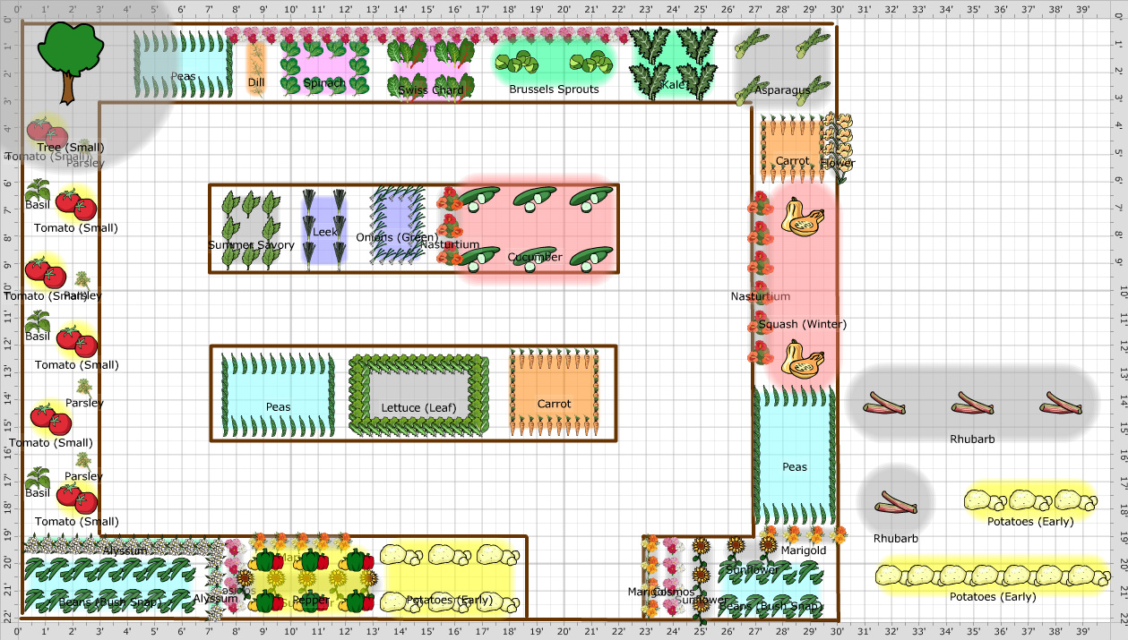 Garden Plan - 2015: Backgarden
