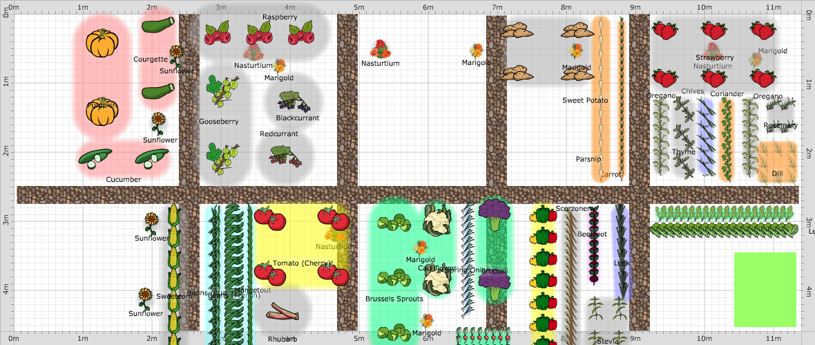 Garden Plan - 2015: Allotment Rosie and Donna