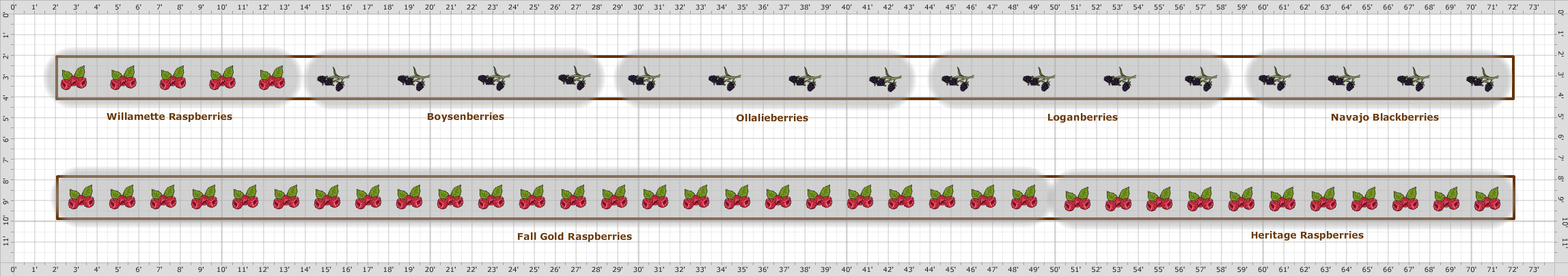 Garden Plan - 2015: Madigail Farm Berry Patch