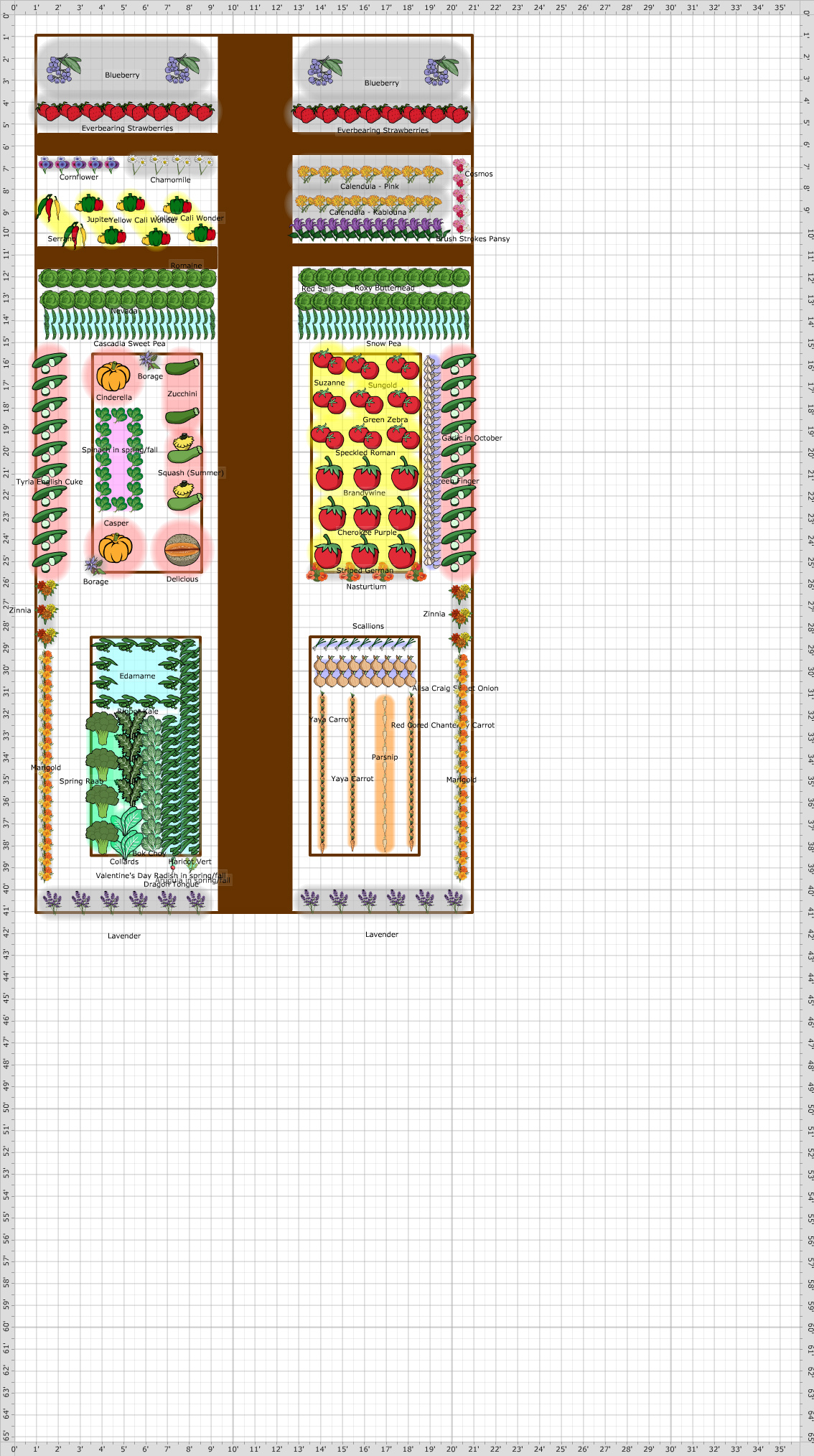 Garden Plan - 2015: Lazarus