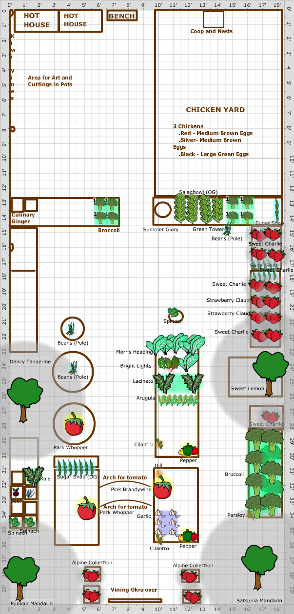 Garden Plan - 2015: Kitchen Garden