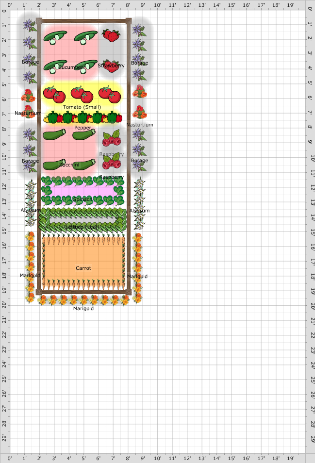 Garden Plan - 2015: First Garden