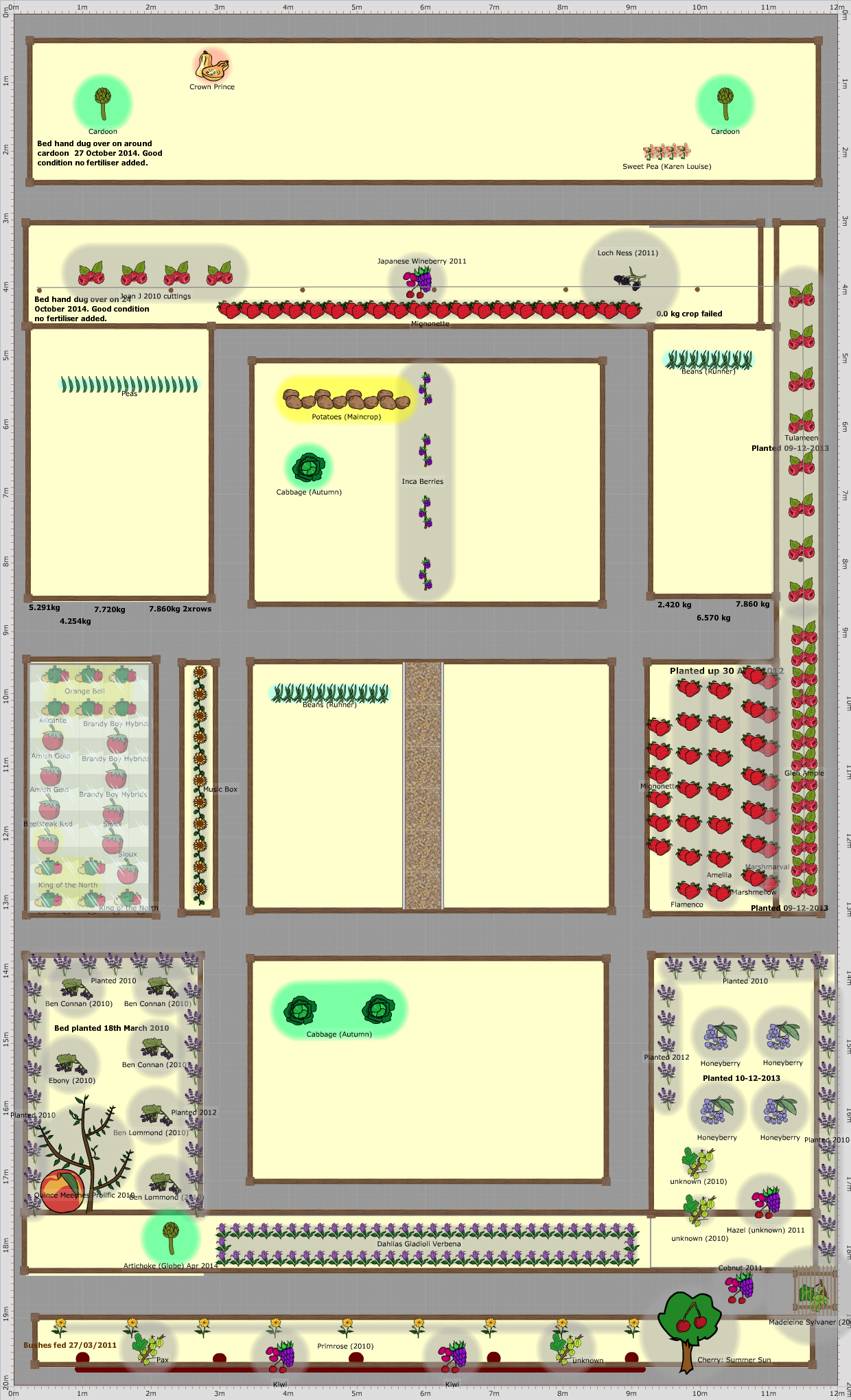 Garden Plan - 2015: Plot 41