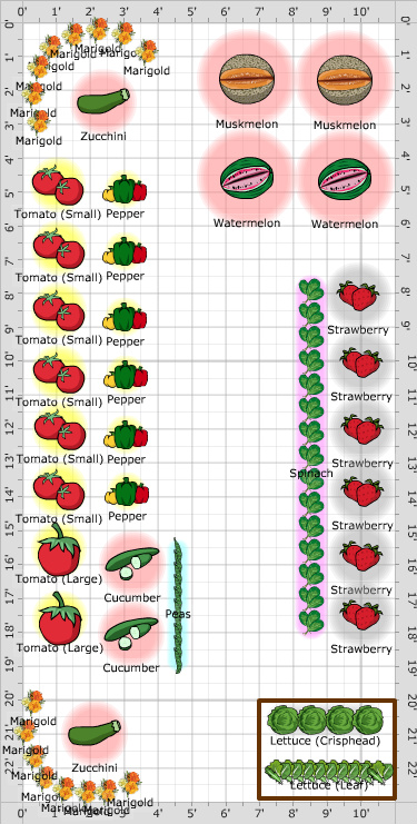Garden Plan - 2015: Katie's Garden III