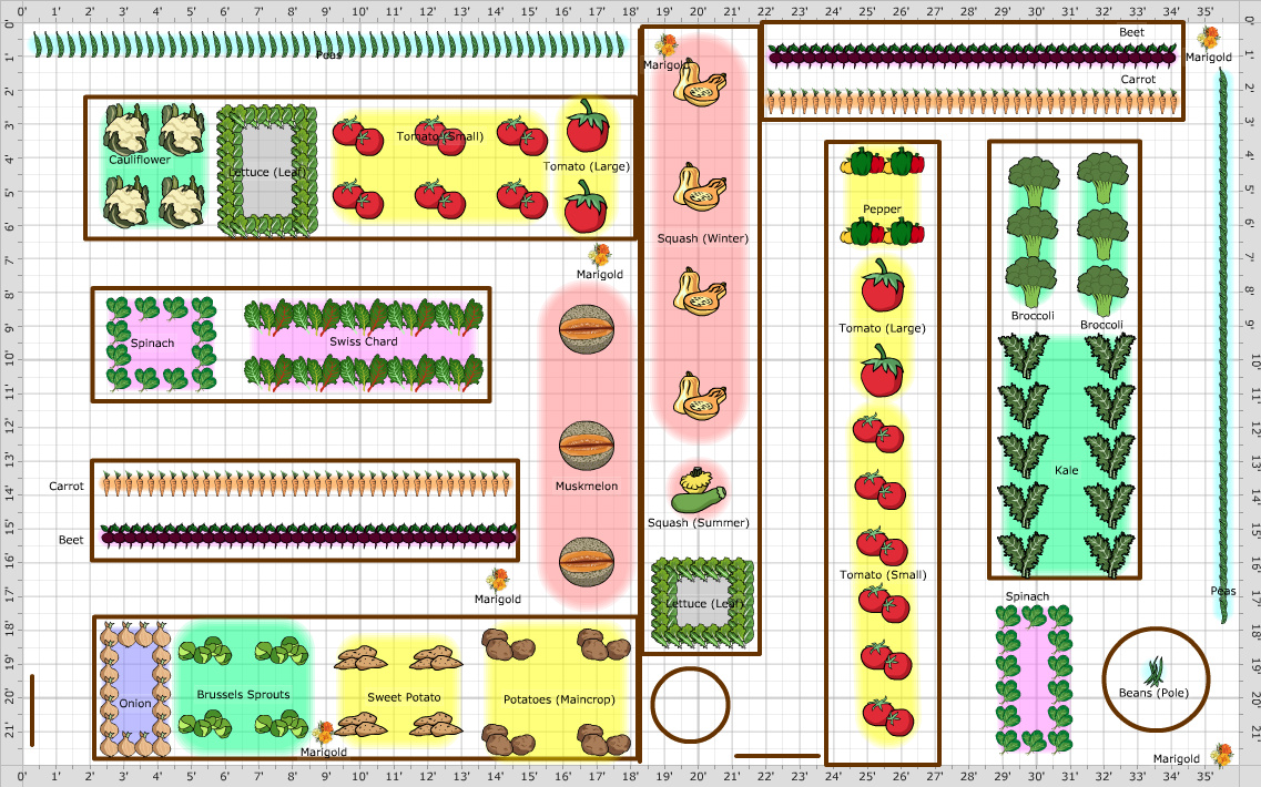 Garden Plan - 2015: EinerwardCORO15