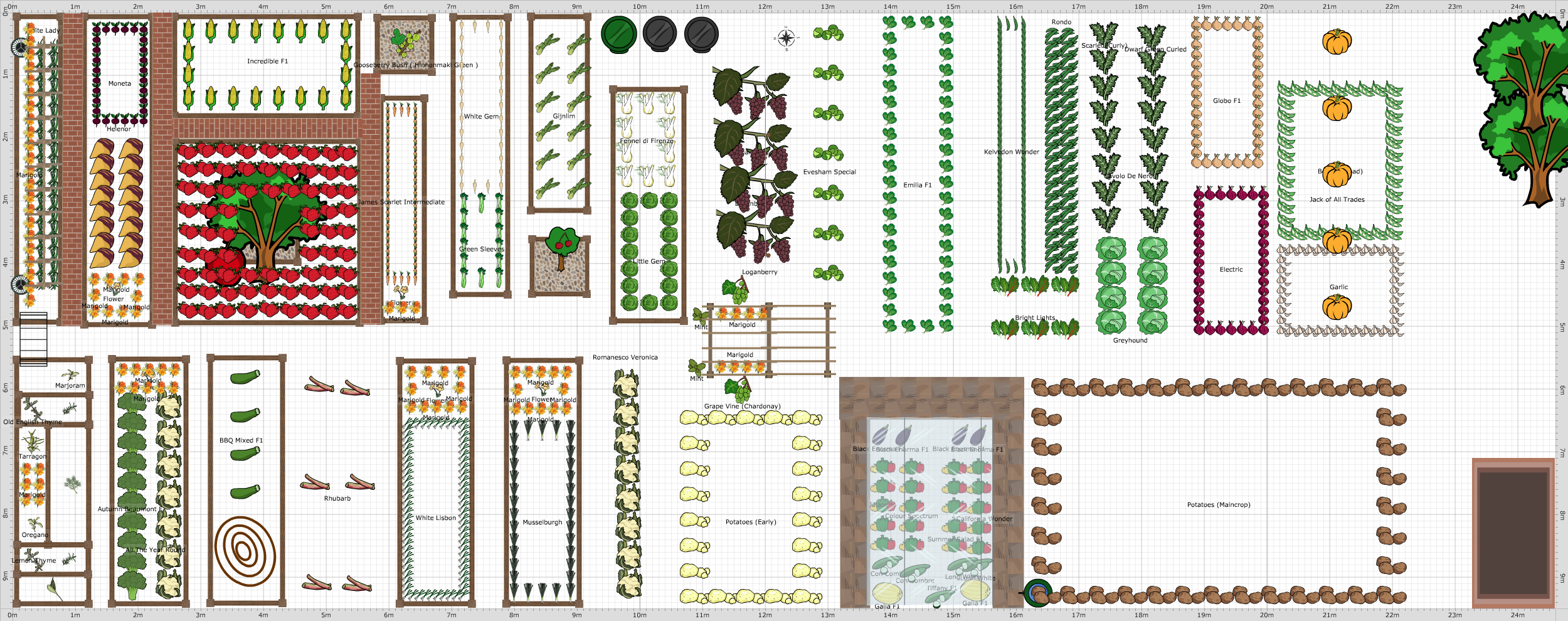 Garden Plan - 2016: ALLOTMENT