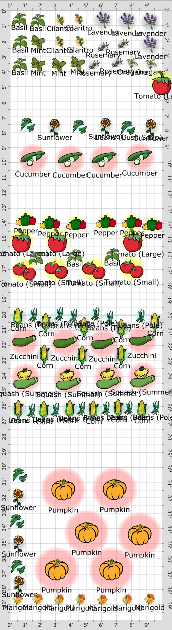 Garden Plan - 2015: Backyard