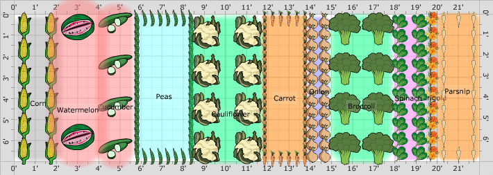 Garden Plan - 2015: COMMUNITY GARDEN - Companion Planting - Edmonton