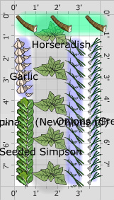 Garden Plan - 2016: salad garden