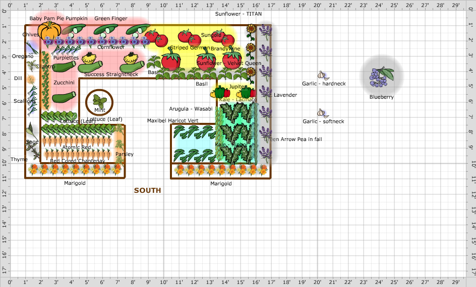 Garden Plan - 2015: Keyes