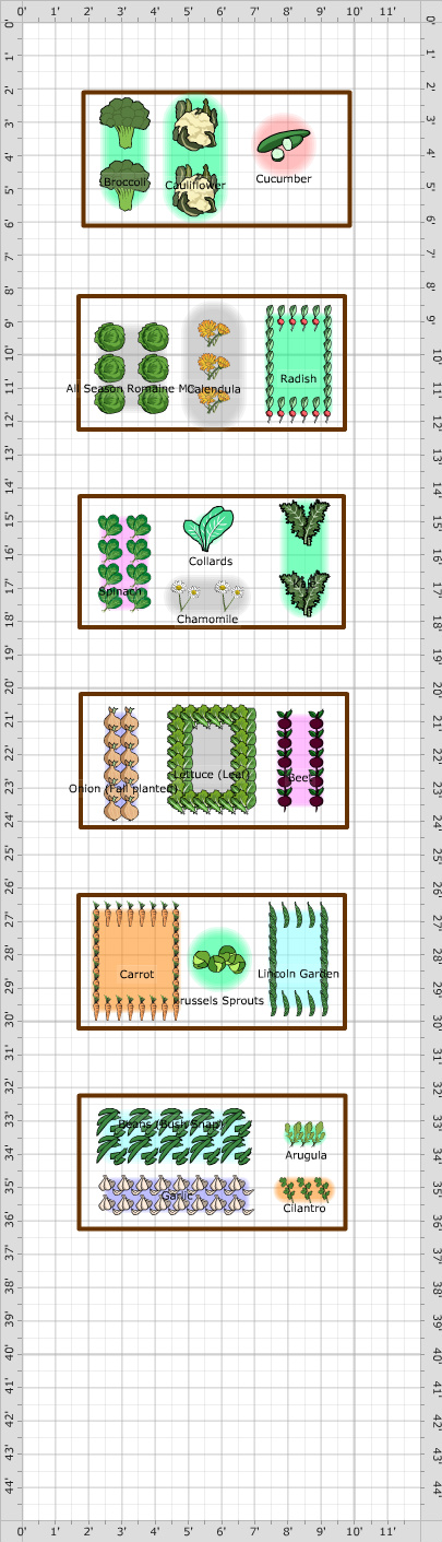 Garden Plan - 2015: Seabrook Garden Plot