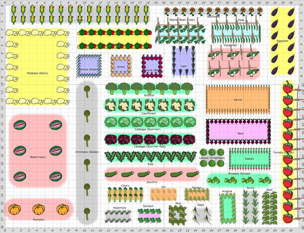 Garden Plan - 2016: Boris