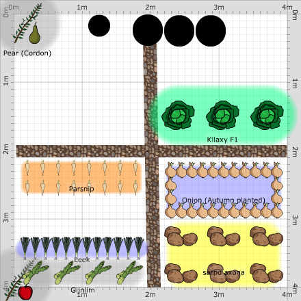 Garden Plan - 2016: wildwood veg patch