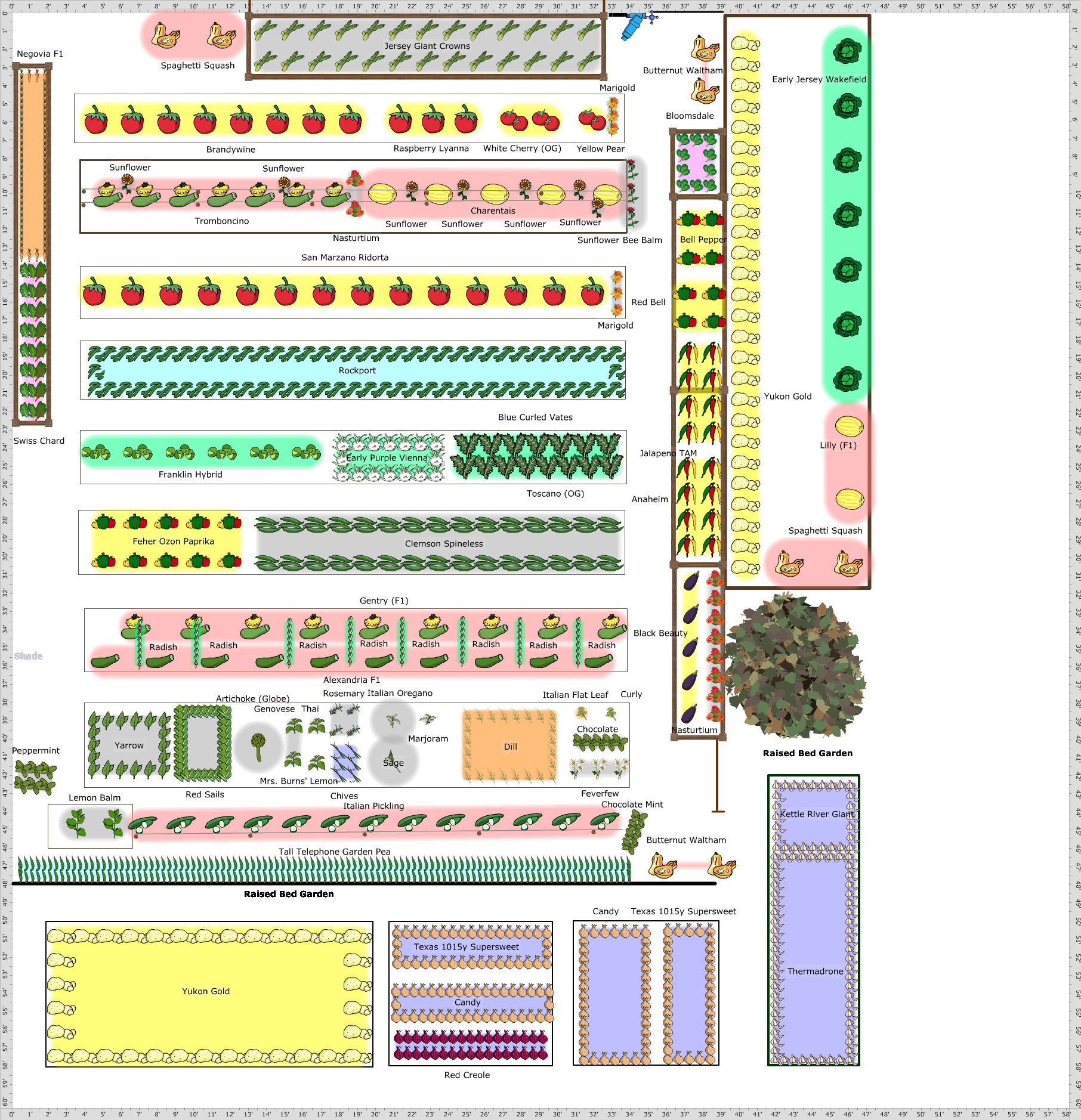 Garden Plan - 2016: Winter/Spring Garden