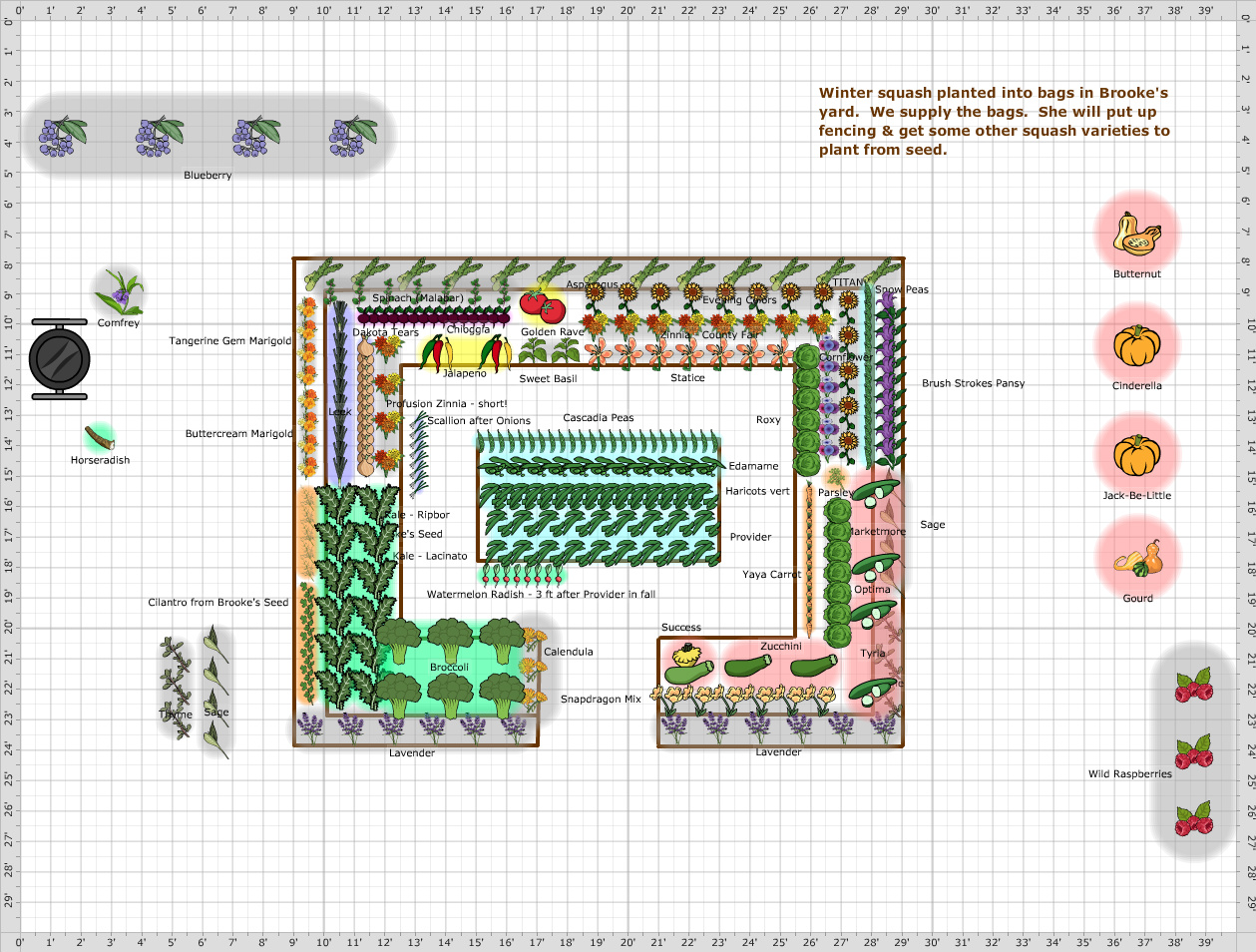 Garden Plan - 2016: Andrews