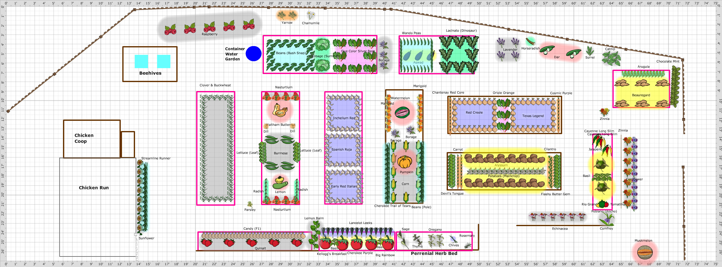 Garden Plan - Main Garden
