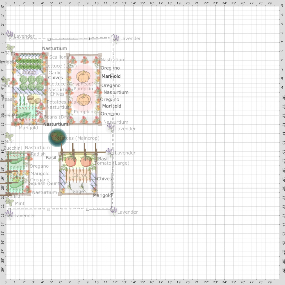 Garden Plan - 2016: Spring