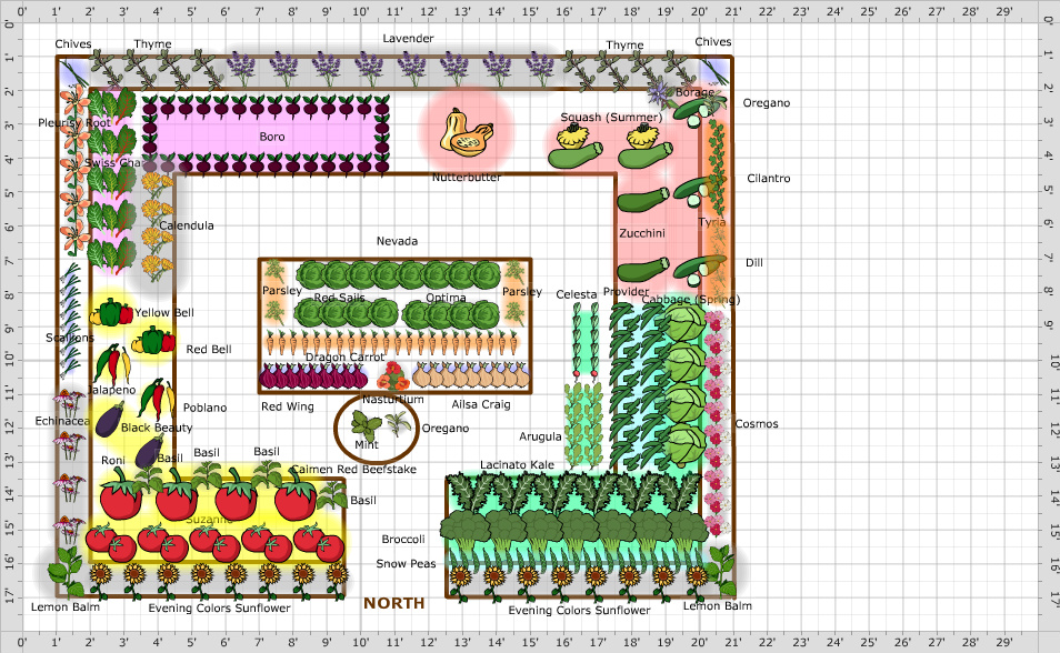 Garden Plan - 2016: Thomson