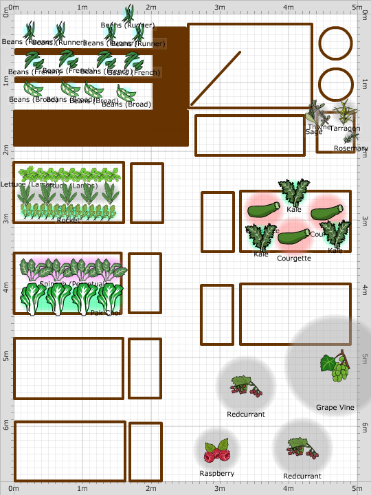 Garden Plan - 2016: Allotment