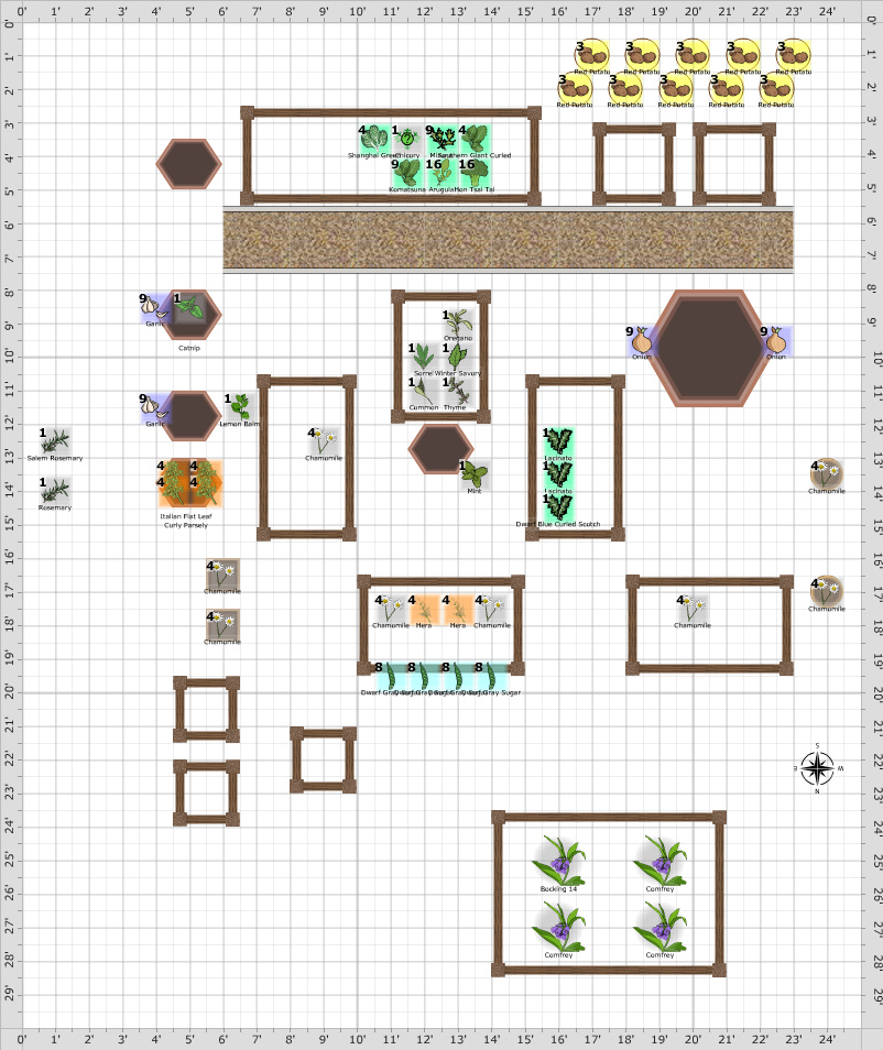 Garden Plan - 2016: Front garden
