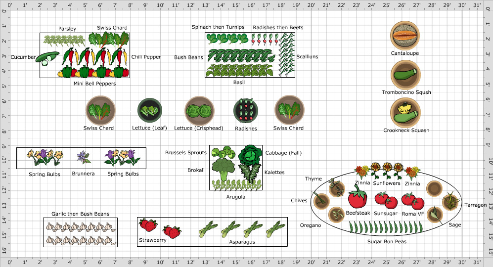 Garden Plan - 2016: Back Garden