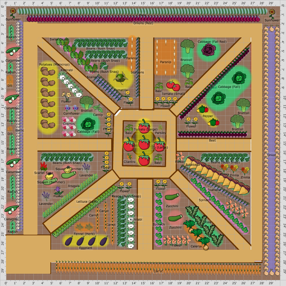 Garden Plan - 2016: Dunnes Edibles Assignment