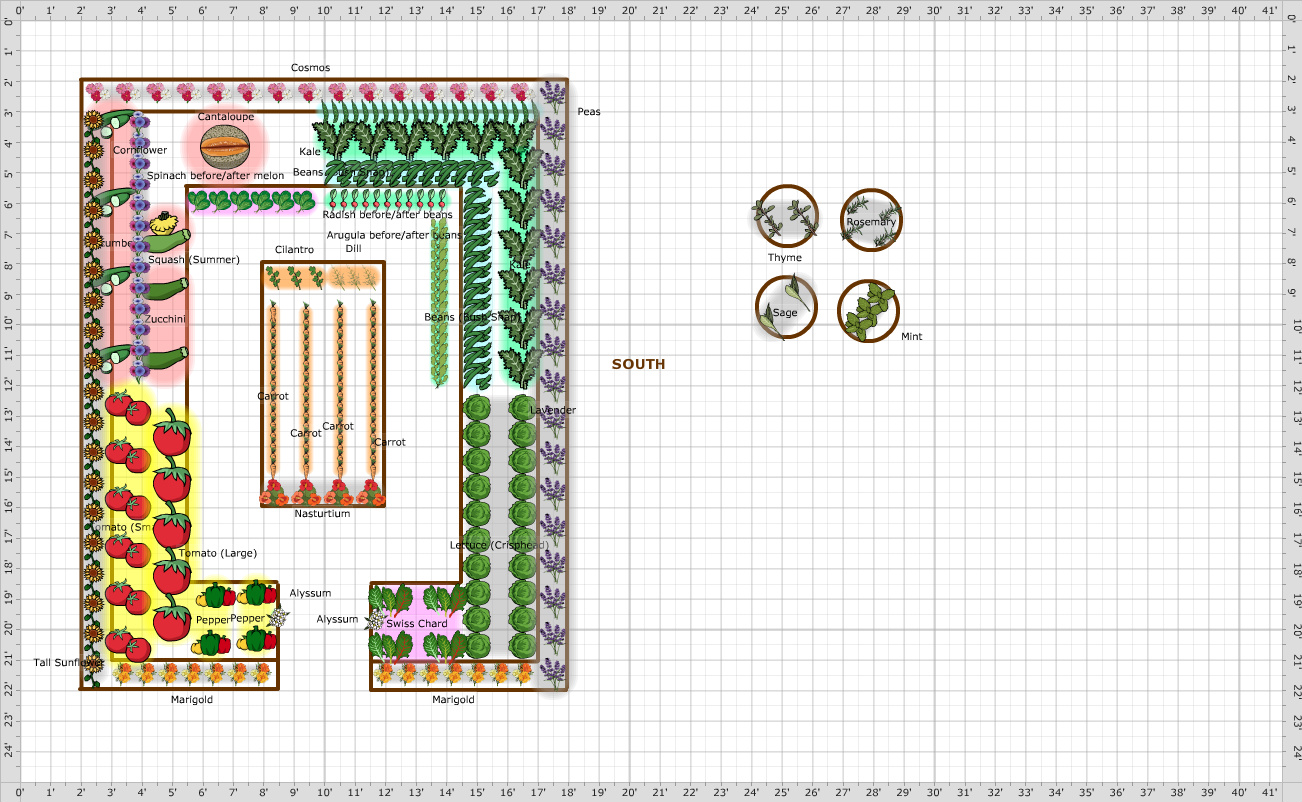 Garden Plan - 2013: Yearley