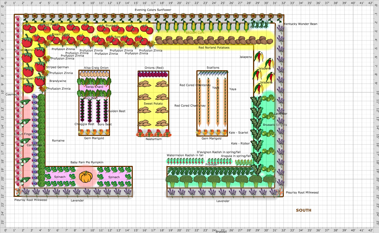 Garden Plan - 2016: Matelich