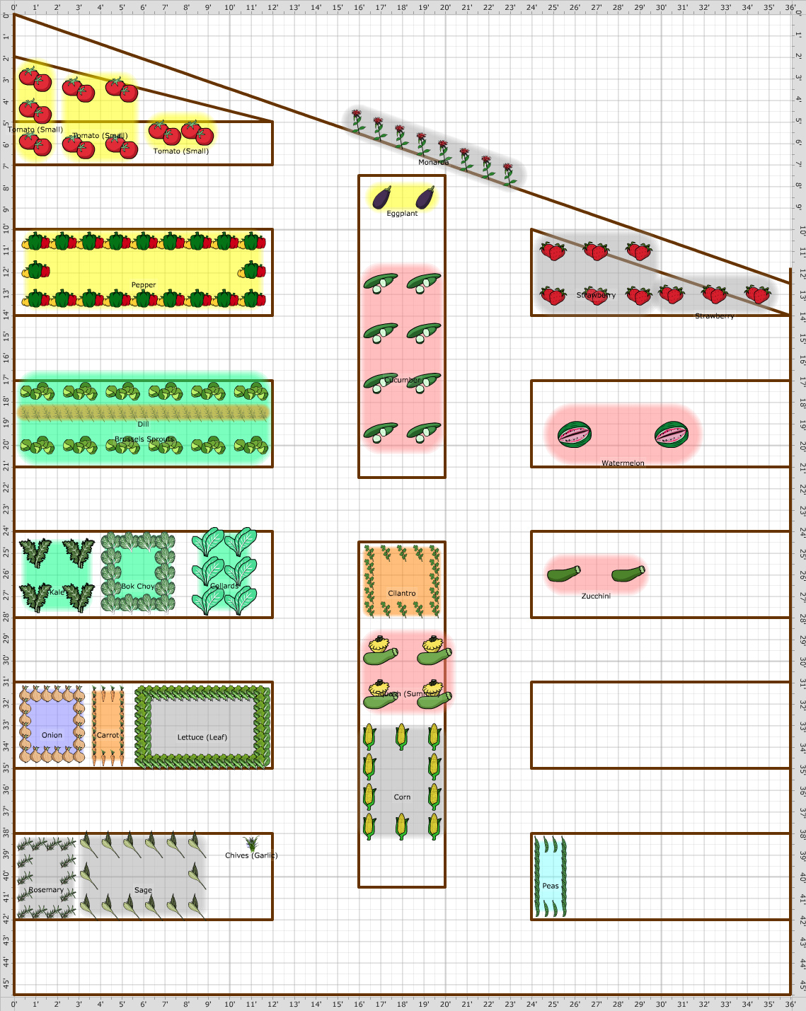Garden Plan - 2016: real plan