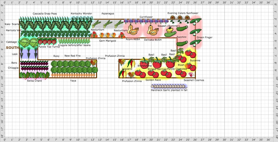 Garden Plan - 2016: Drummond