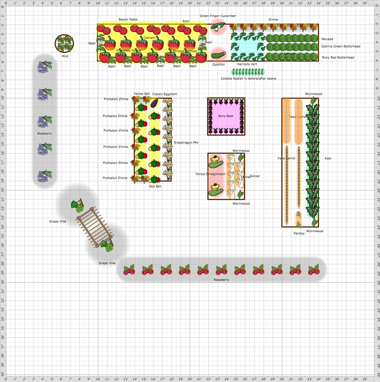Garden Plan - 2016: Camilleri