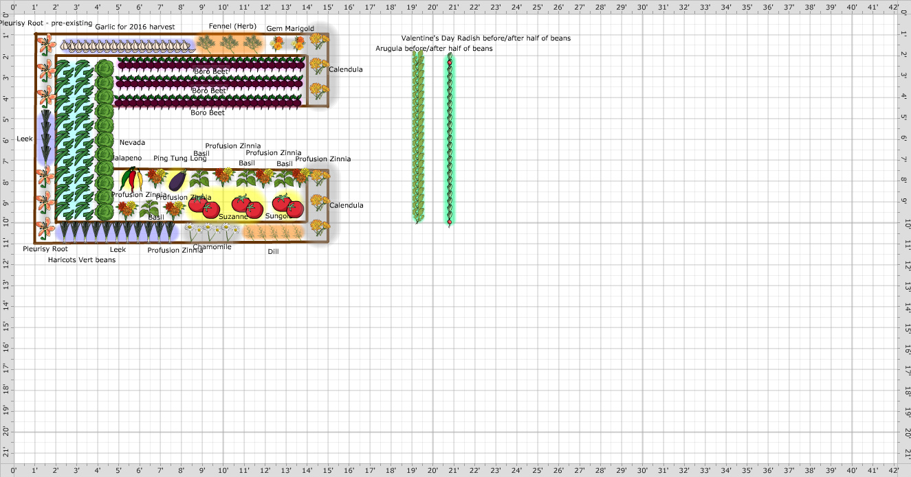 Garden Plan - 2016: Meshberg