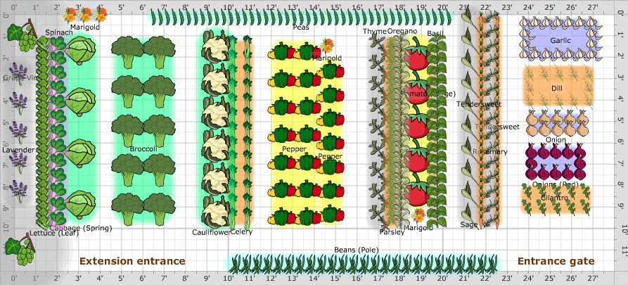 Garden Plan - 2016: Main garden