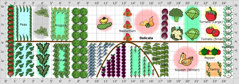 Garden Plan - 2016: Ciaran and Andrea's Woodlawn Garden Plot