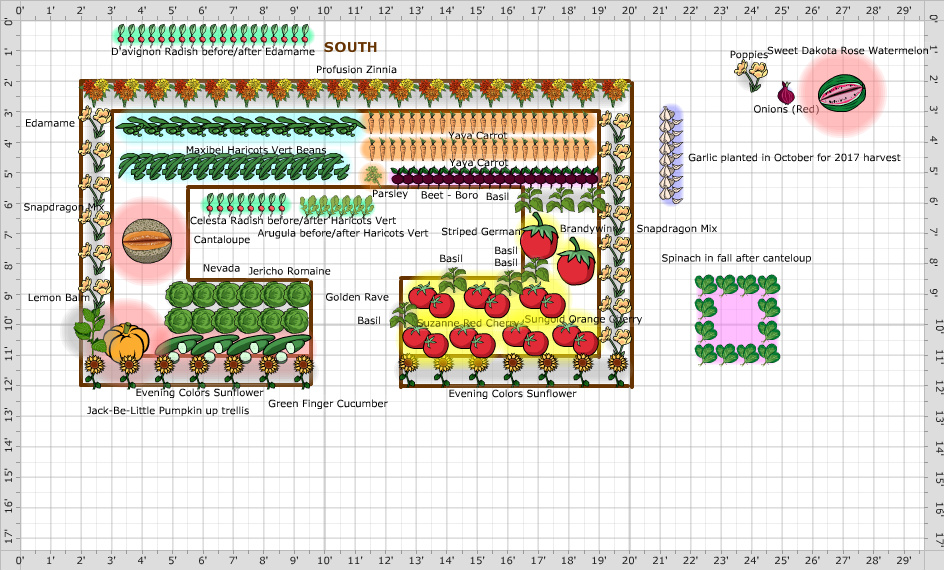 Garden Plan - 2016: Tallman