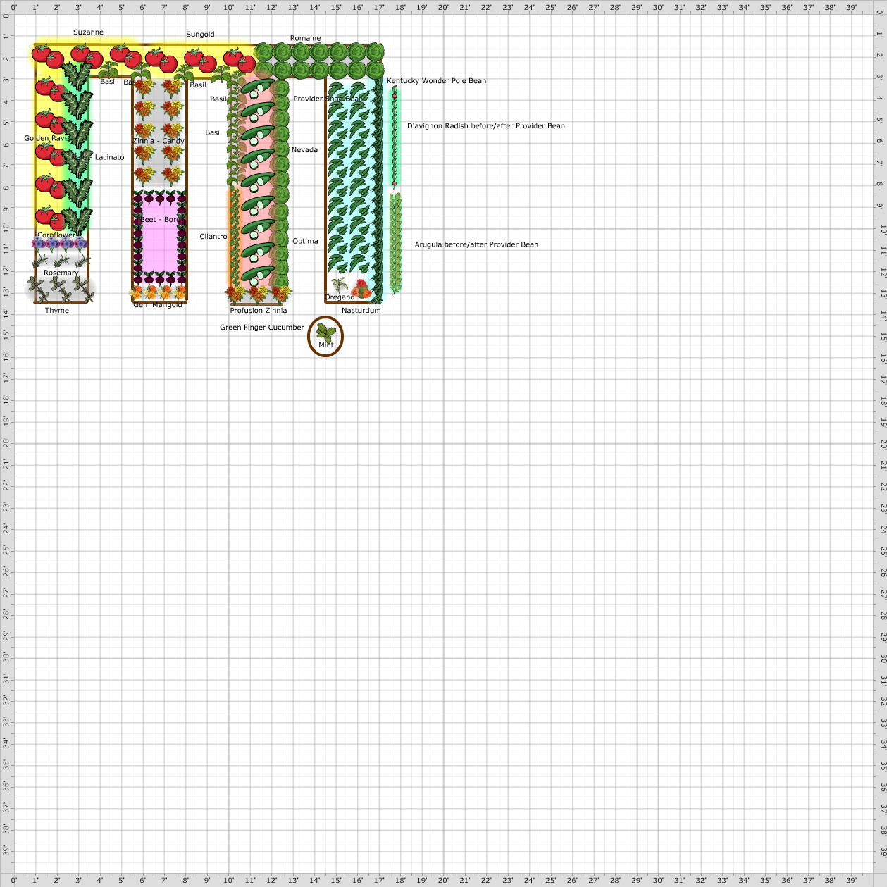 Garden Plan - 2016: Maloney