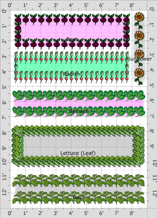 Garden Plan - 2016: Organic Garden