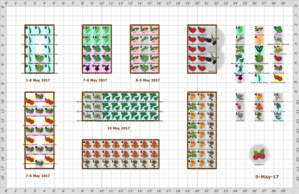 Garden Plan - 2017: dgflynn