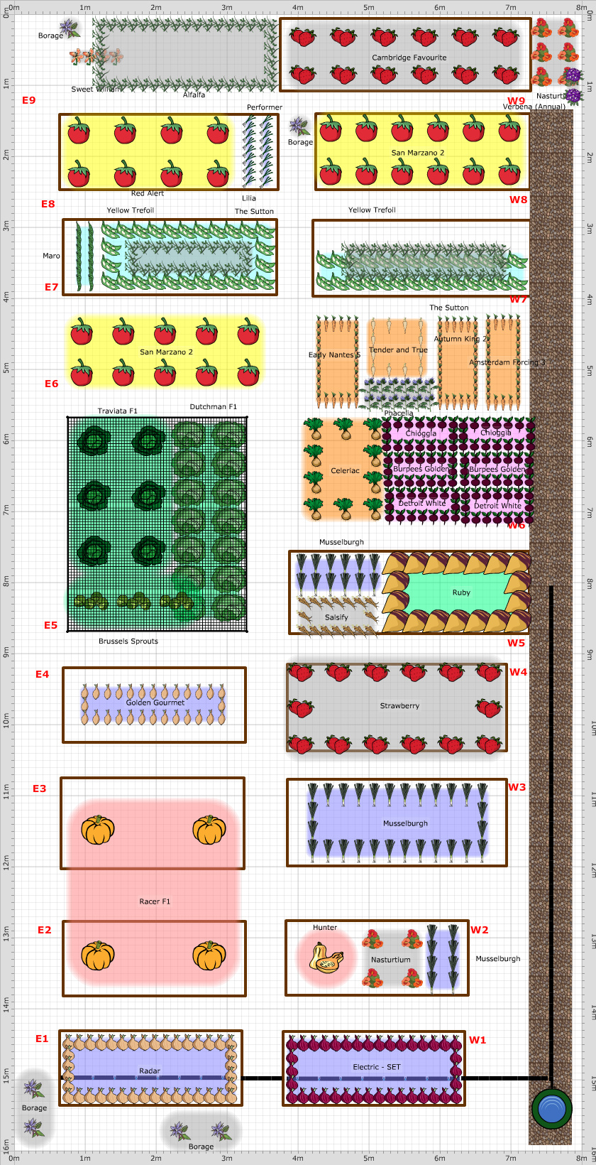 Garden Plan - 2017: Allotment