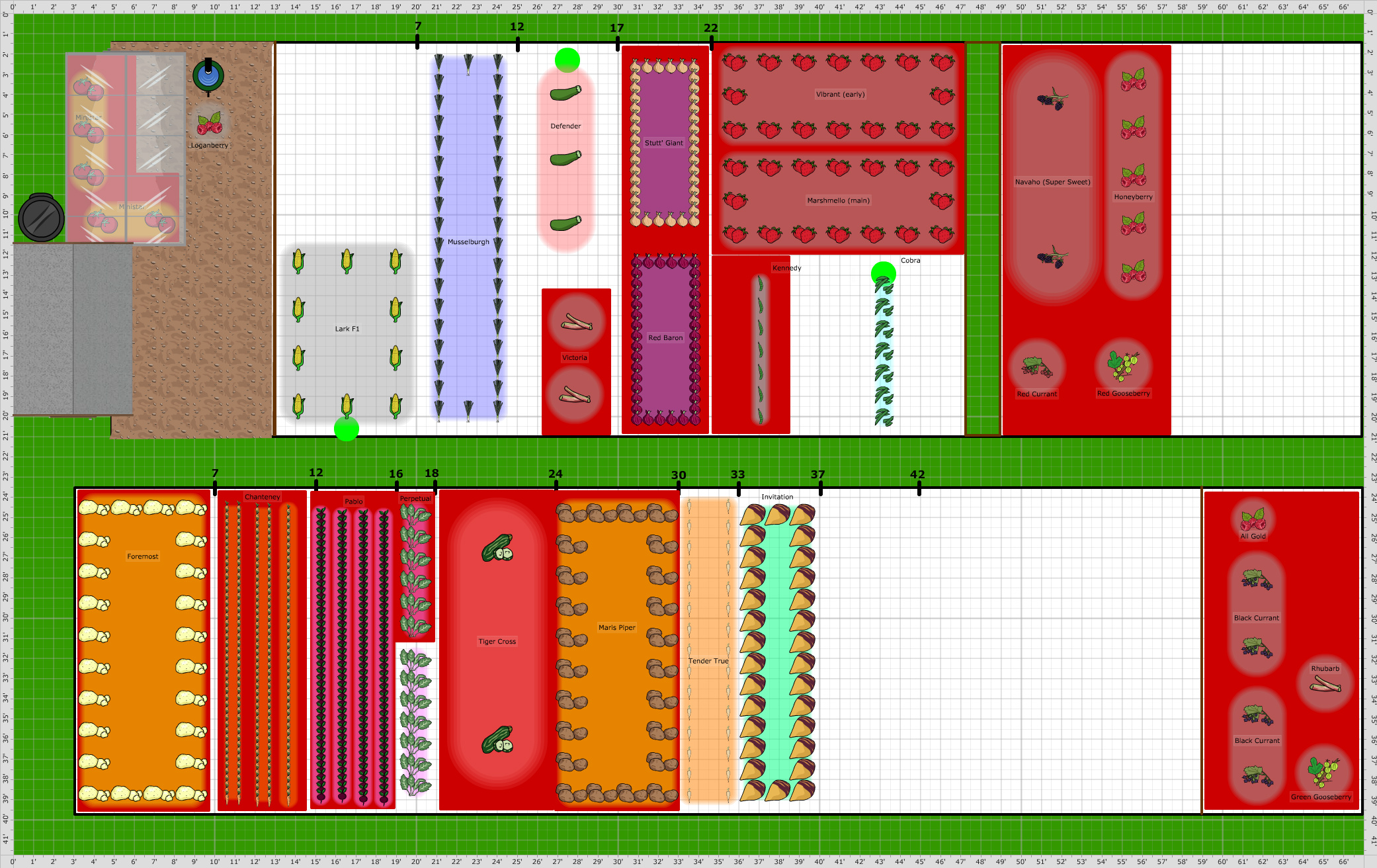 Garden Plan - 2017: SNAIL SLUG PLOT