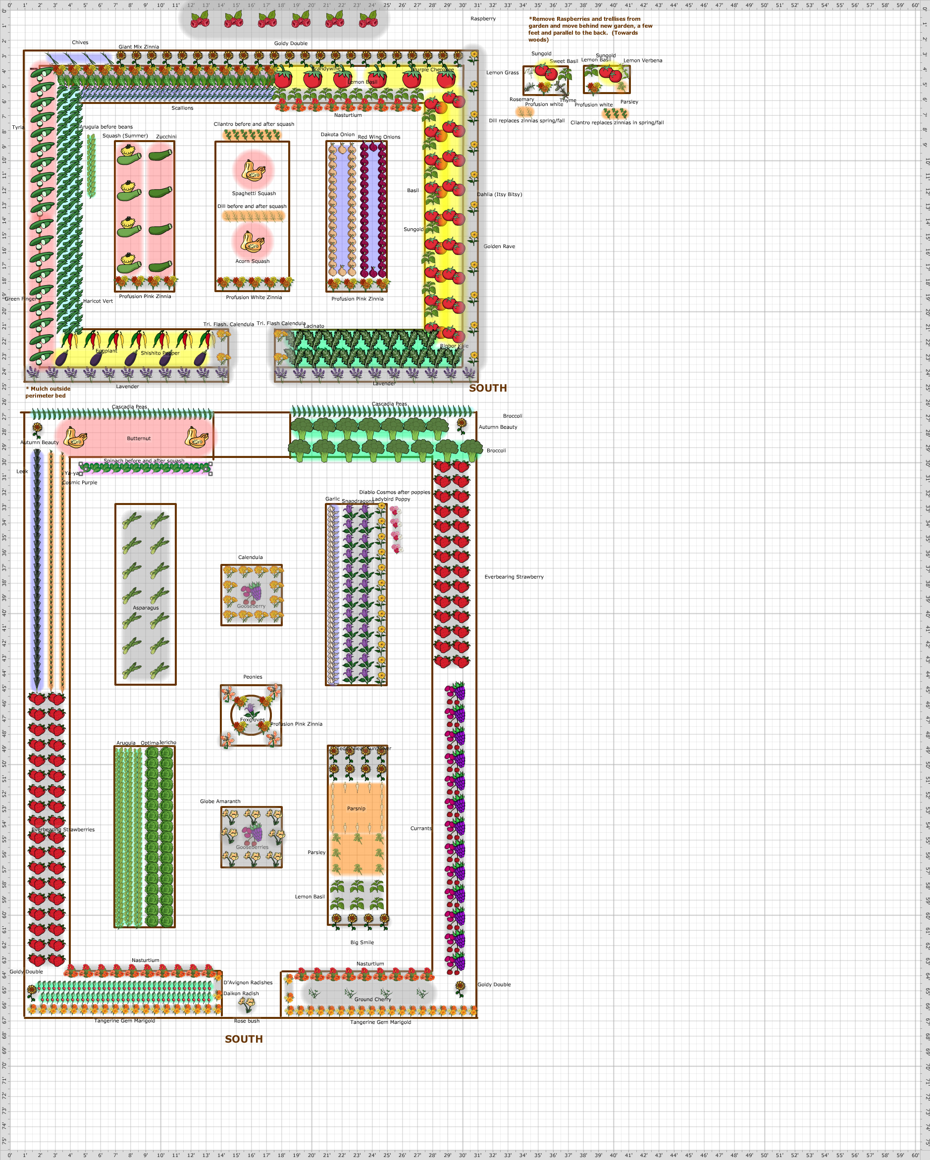 Garden Plan - 2017: Edelman
