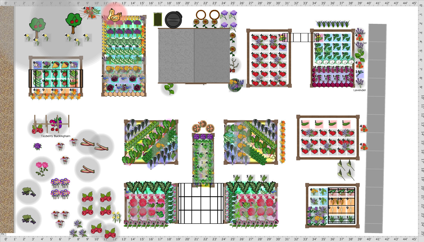 Garden Plan - 2017: Cara's Lotty '17